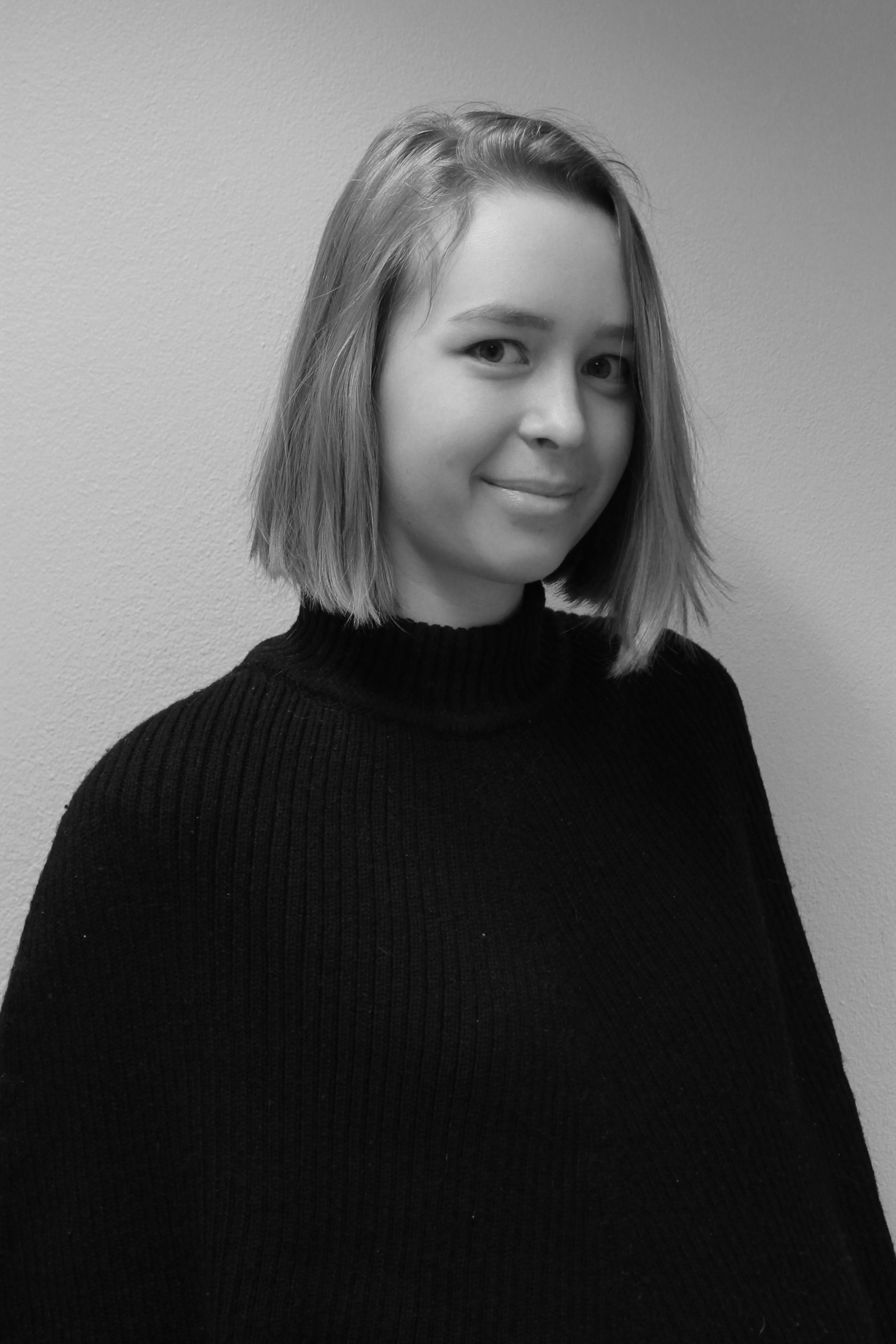 Hallitus – Kritiikki